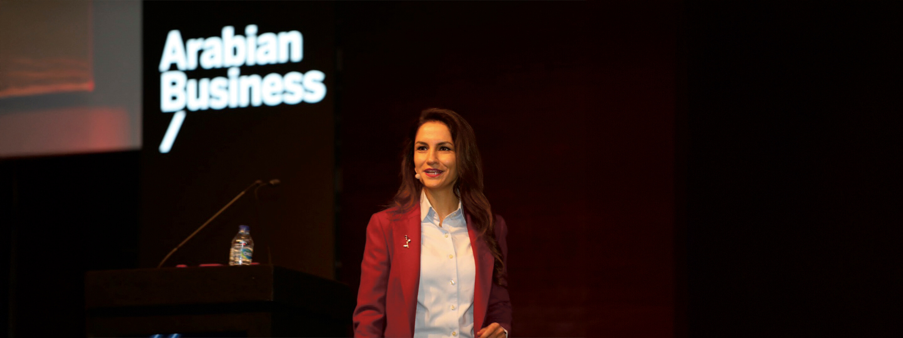 Lousin Mehrabi: Professional Negotiator & Inspirational Speaker